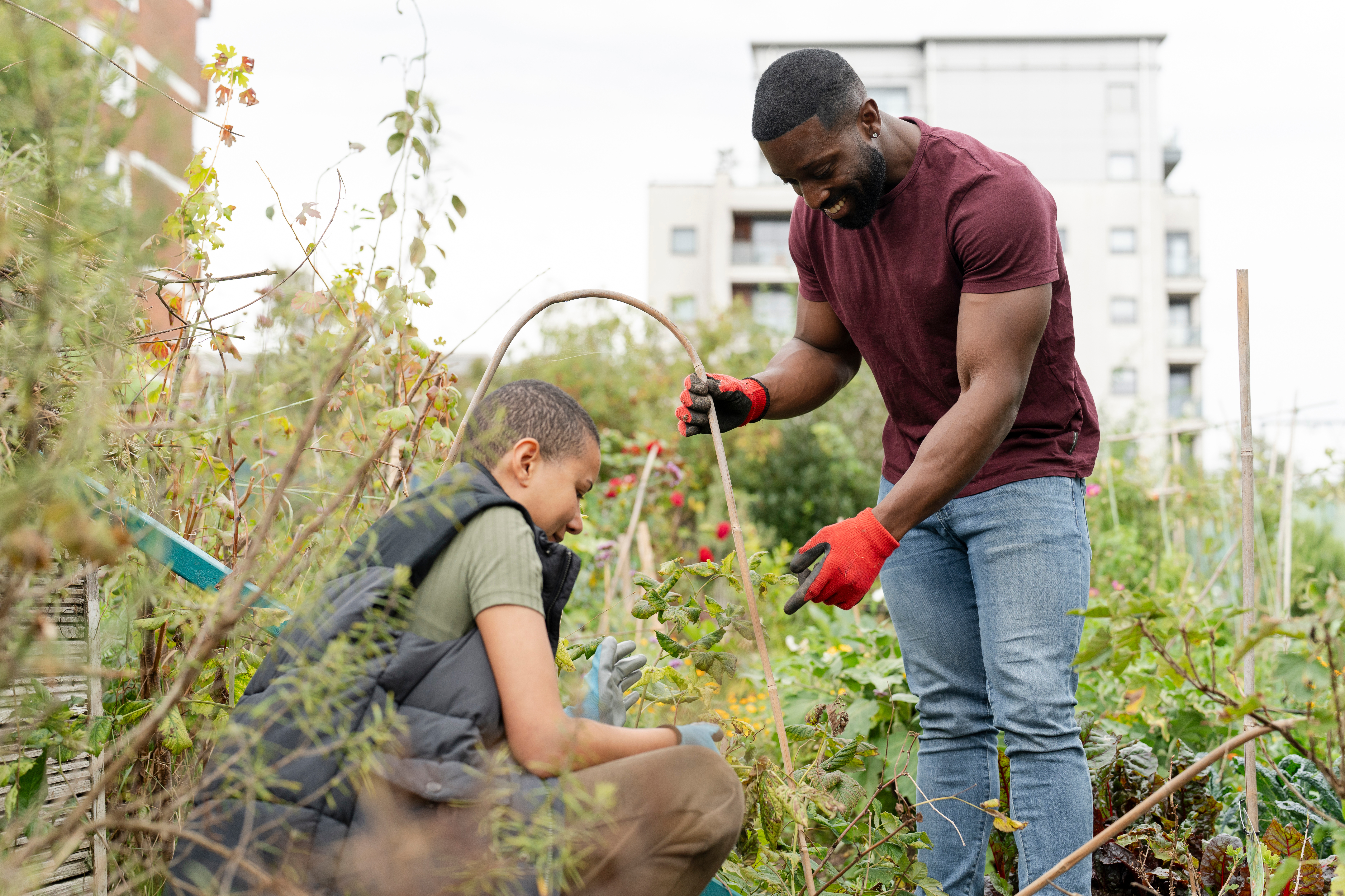 Transforming Vacant Properties: A Path to Community Renewal and Growth ...